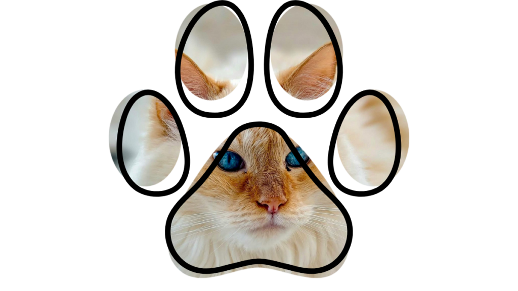 Spirit of 76th Veterinary Clinic in West Allis | Vet Near Me Quiz